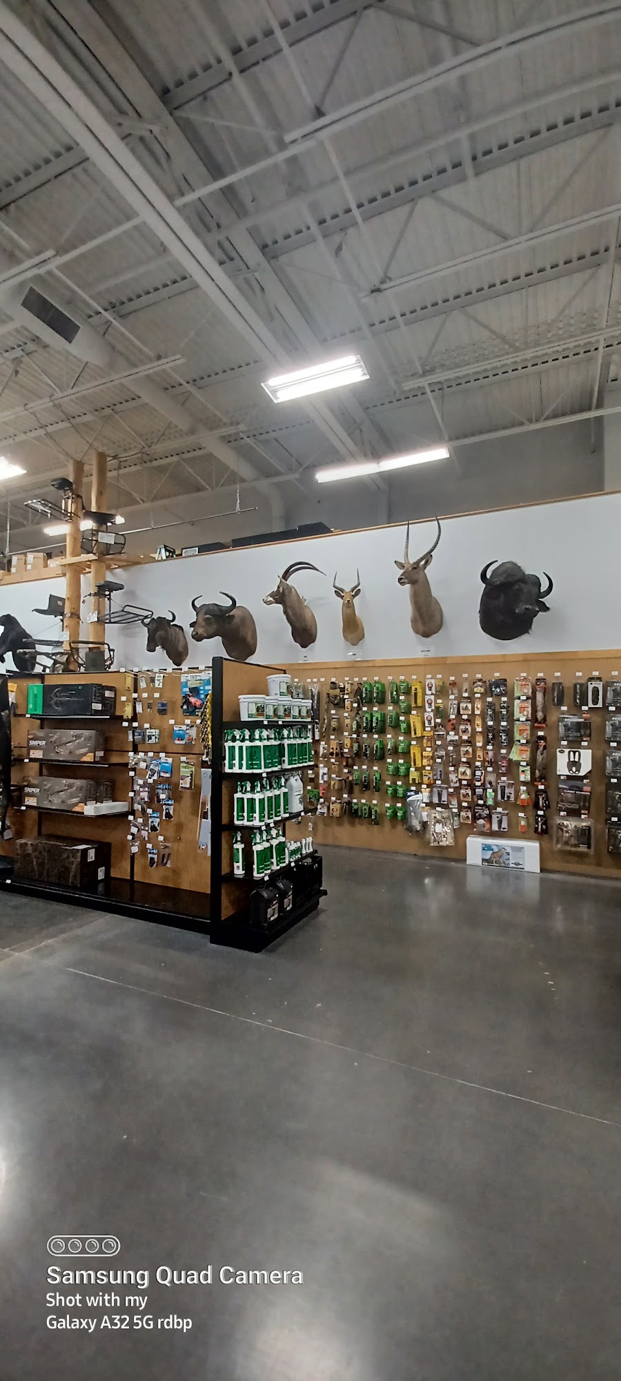 SPORTSMAN'S WAREHOUSE - 1901 E Parks Hwy, Wasilla AK - Hours ...