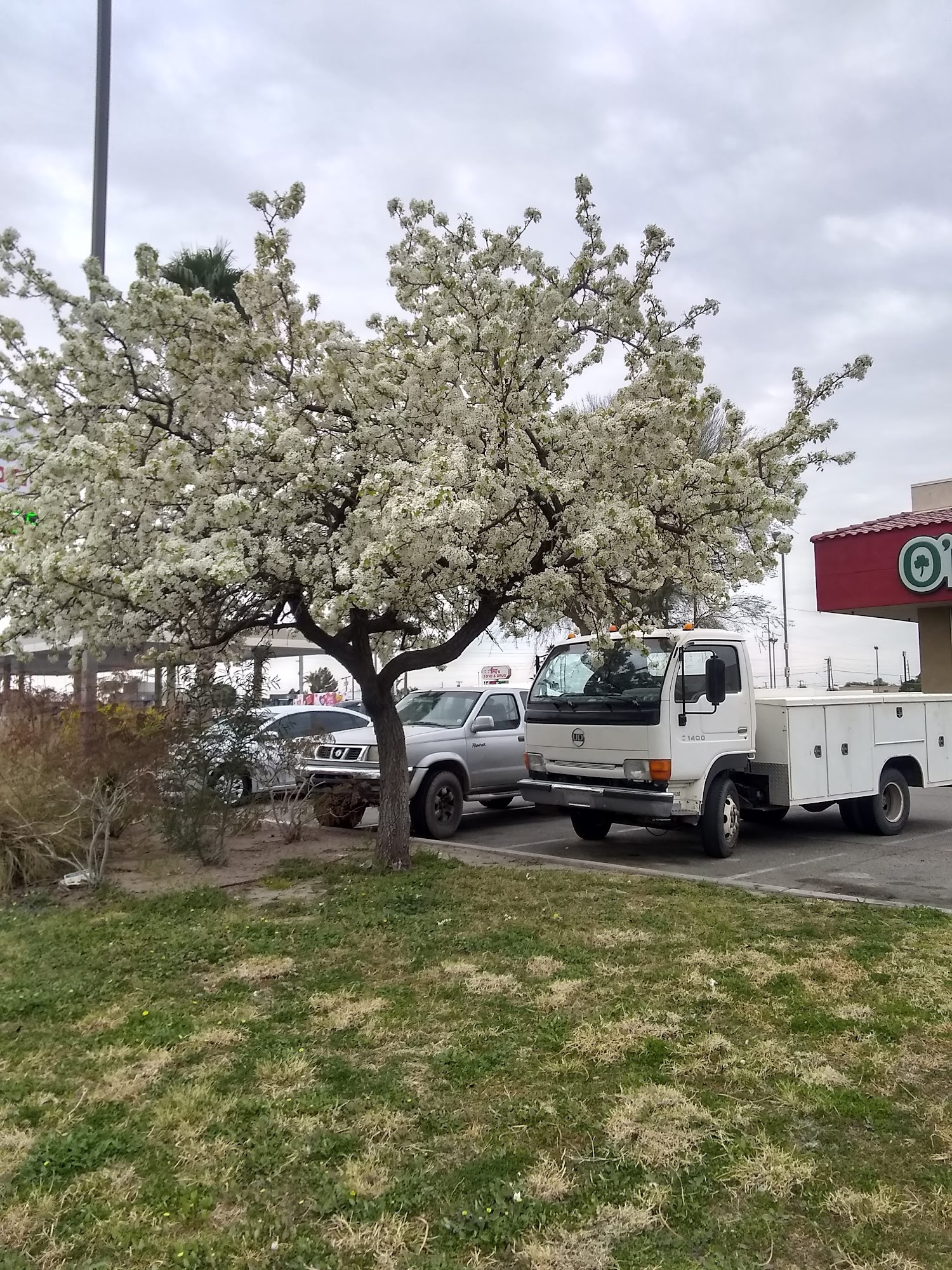O'REILLY AUTO PARTS - 2330 S 4th Ave, Yuma AZ - Hours, Directions ...