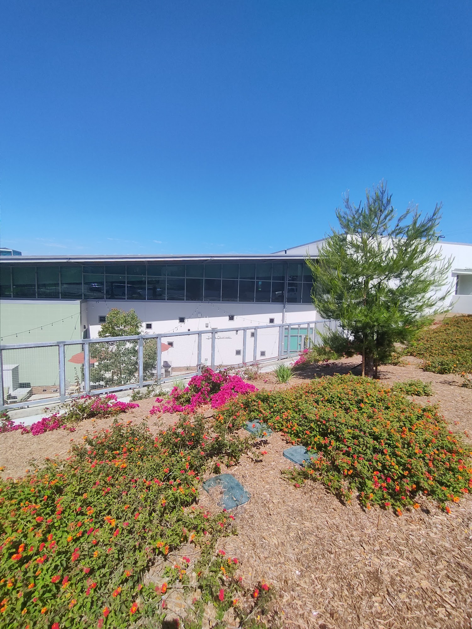 SIGNAL HILL PUBLIC LIBRARY - Signal Hill CA - Hours, Directions ...