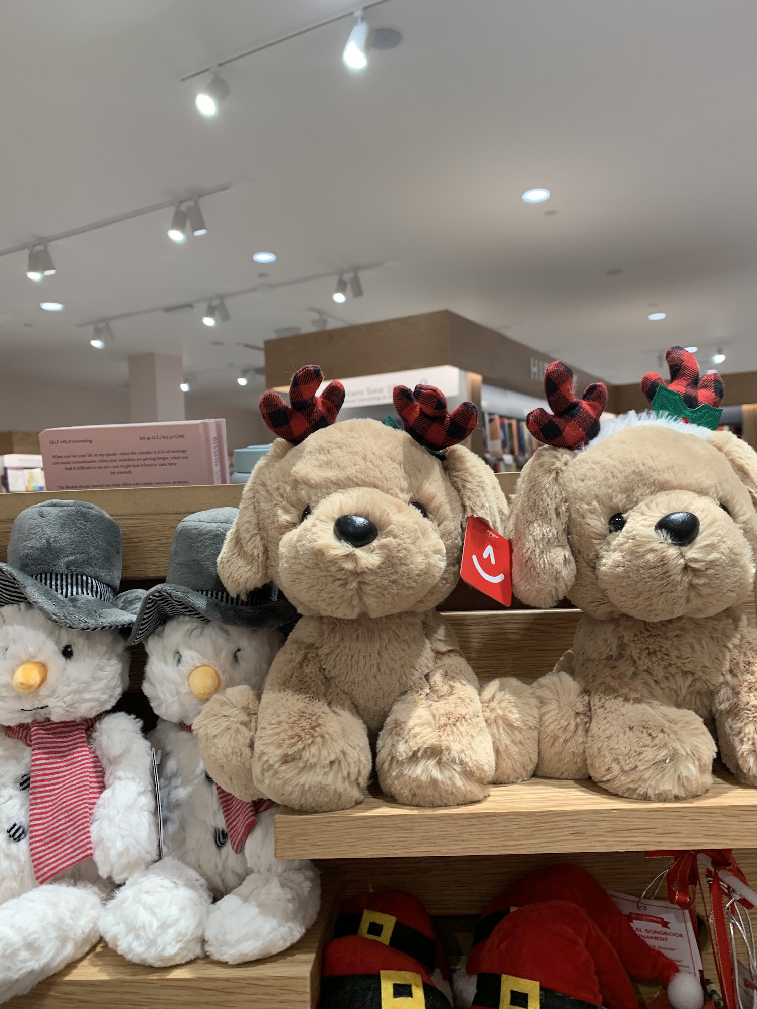 BARNES & NOBLE - 1192 Locust St Unit D400-500, Walnut Creek CA - Hours, Directions, Reviews ...