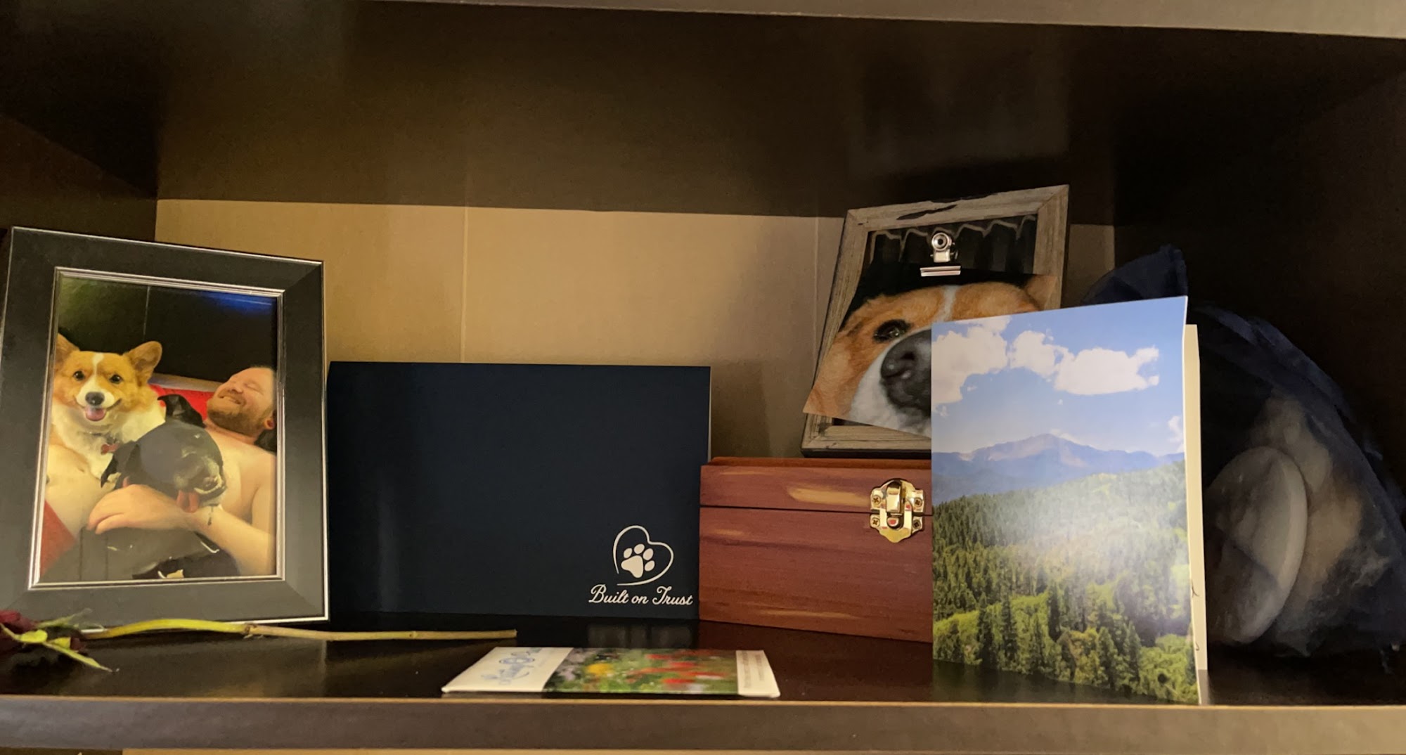 LASTING PAWS PET MEMORIAL SERVICES - Colorado Springs CO - Hours ...