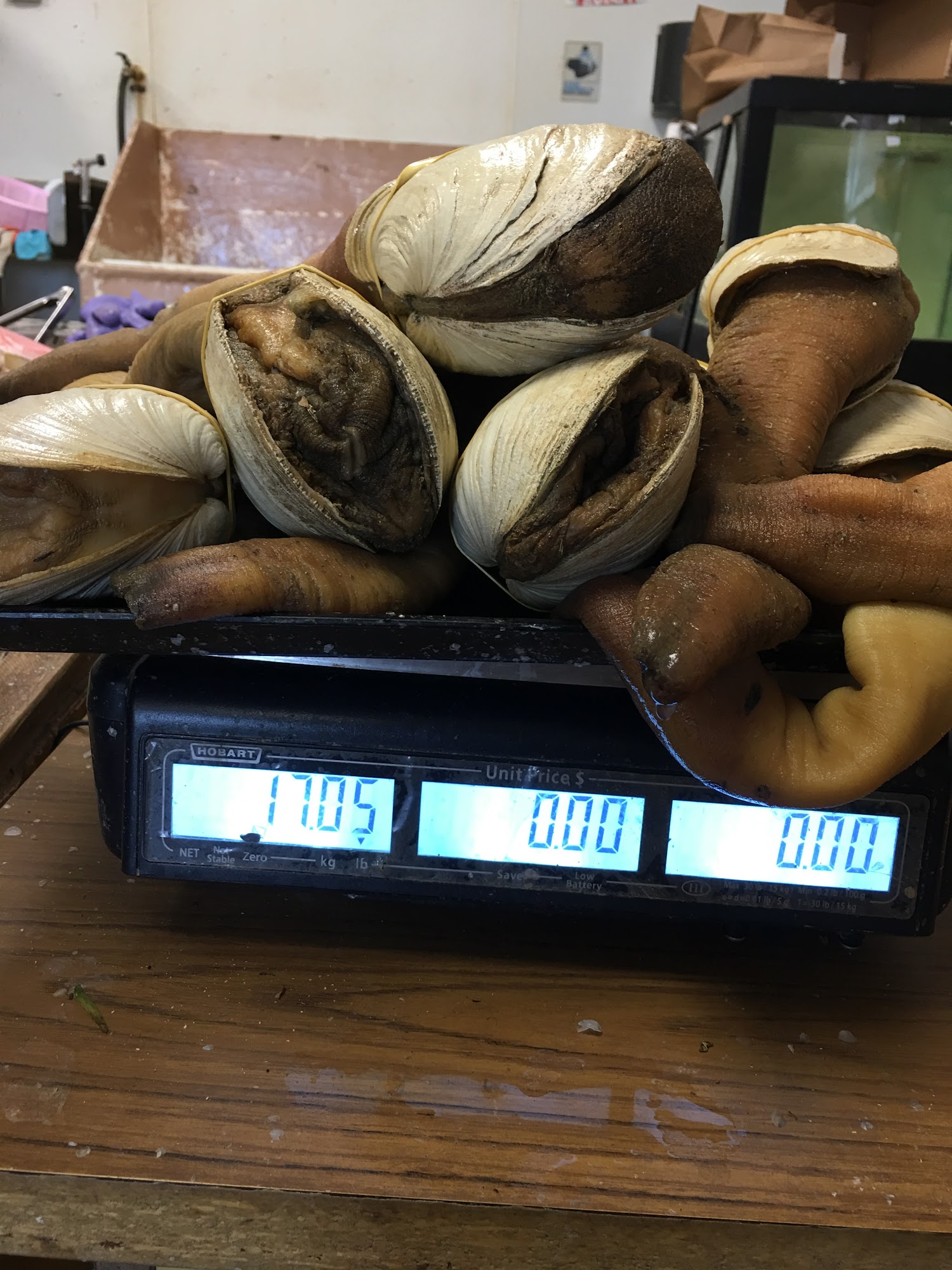 SUNSHINE SEAFOOD MARKET - Orlando FL - Hours, Directions, Reviews ...