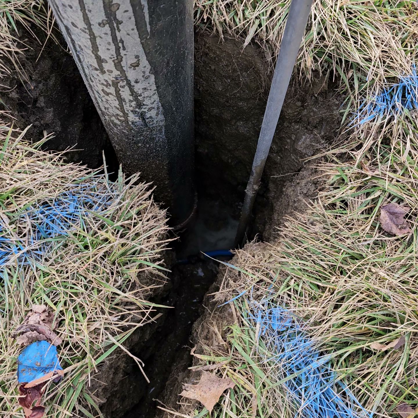 METRONET INC. CORPORATE HEADQUARTERS - Evansville IN - Hours ...