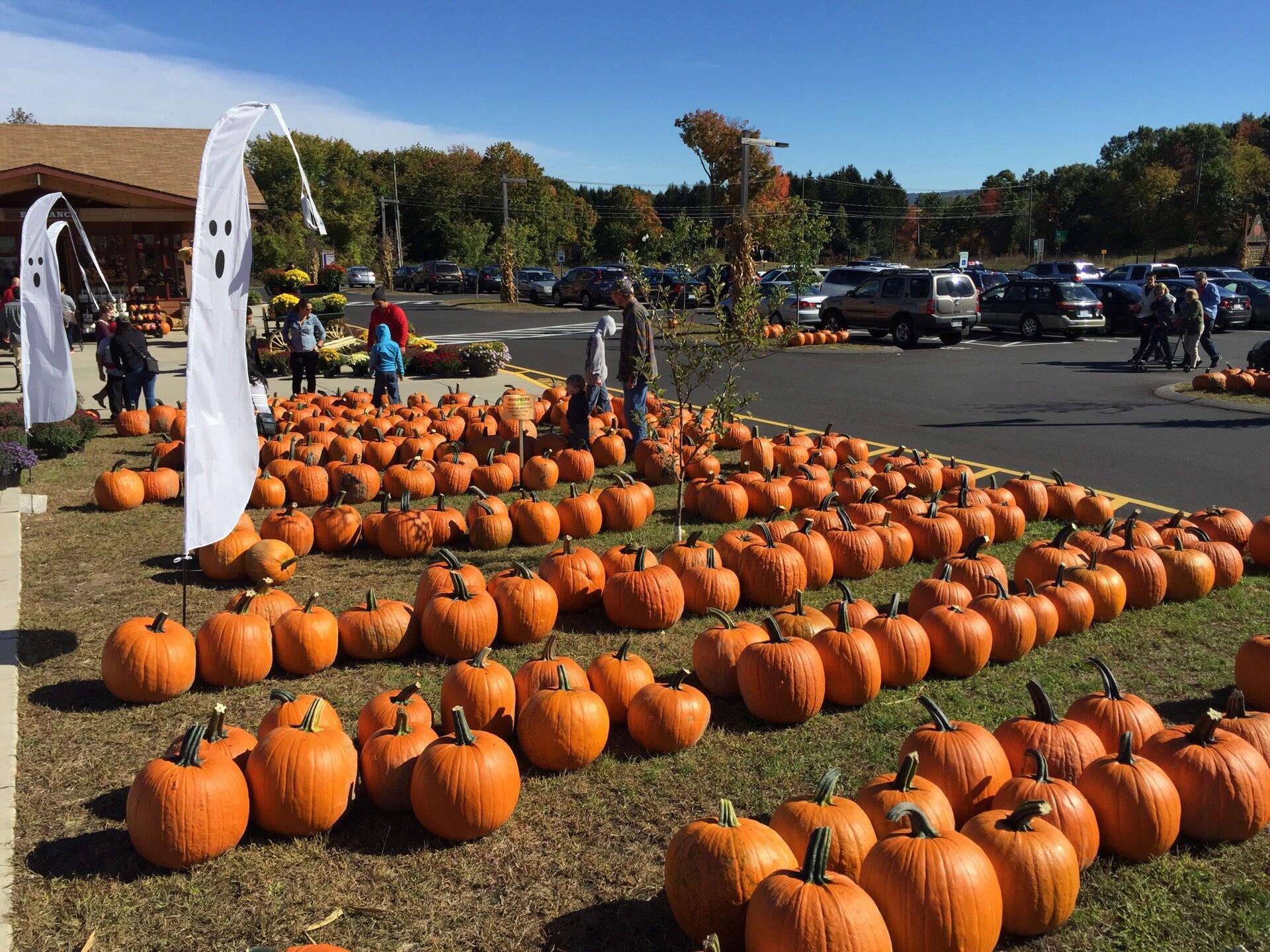 ATKINS FARMS COUNTRY MARKET - Amherst MA - Hours, Directions, Reviews ...