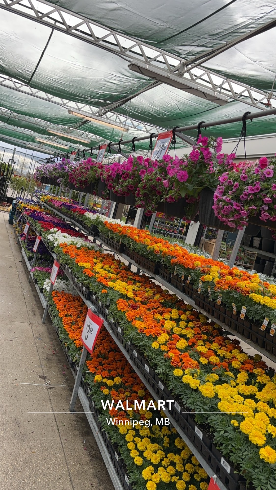 WALMART SUPERCENTRE - 1665 Kenaston Blvd, Winnipeg MB - Hours ...