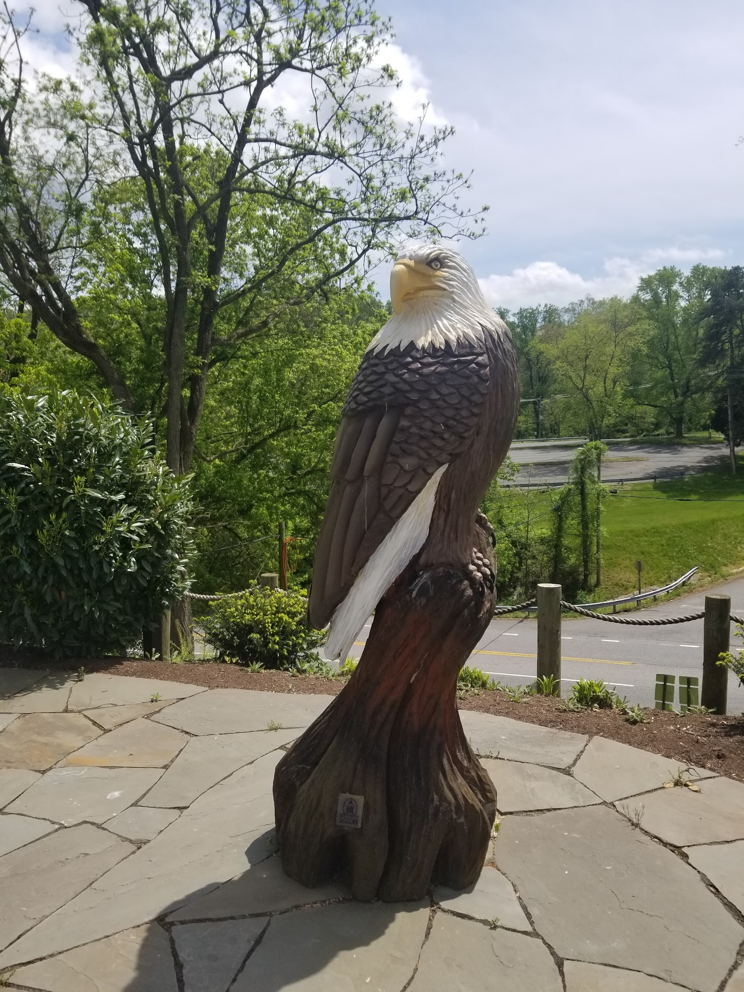 CONOWINGO SWIMMING POOL - Darlington MD - Hours, Directions, Reviews ...