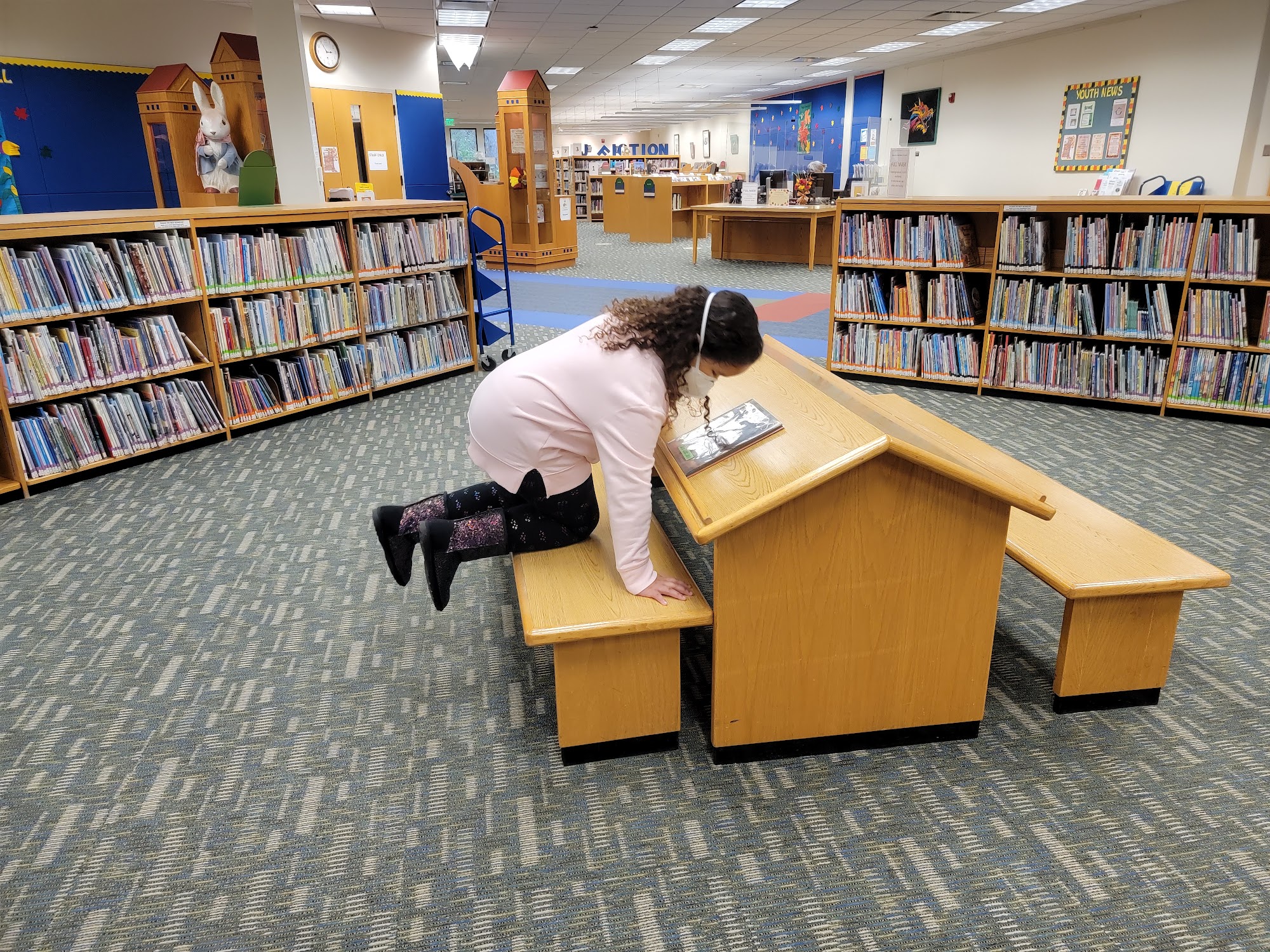 SALINE DISTRICT LIBRARY - Saline MI - Hours, Directions, Reviews ...