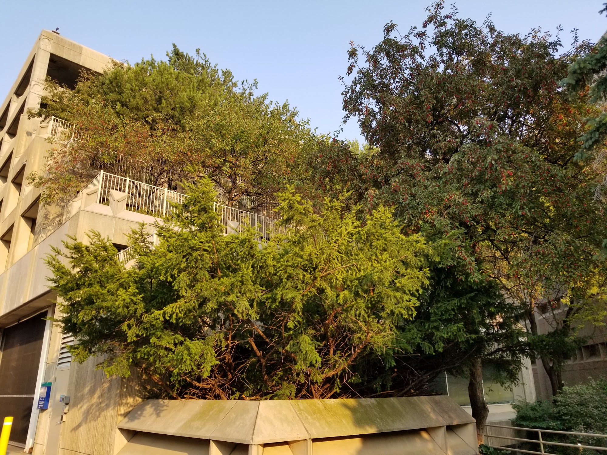 MAYO CLINIC BALDWIN BUILDING - Rochester MN - Hours, Directions ...