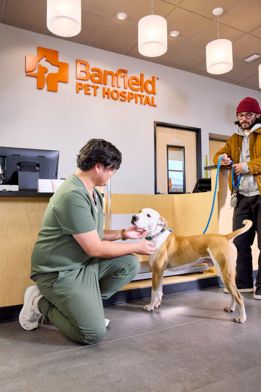 BANFIELD PET HOSPITAL - 1136 Larpenteur Ave W, St Paul MN - Hours ...