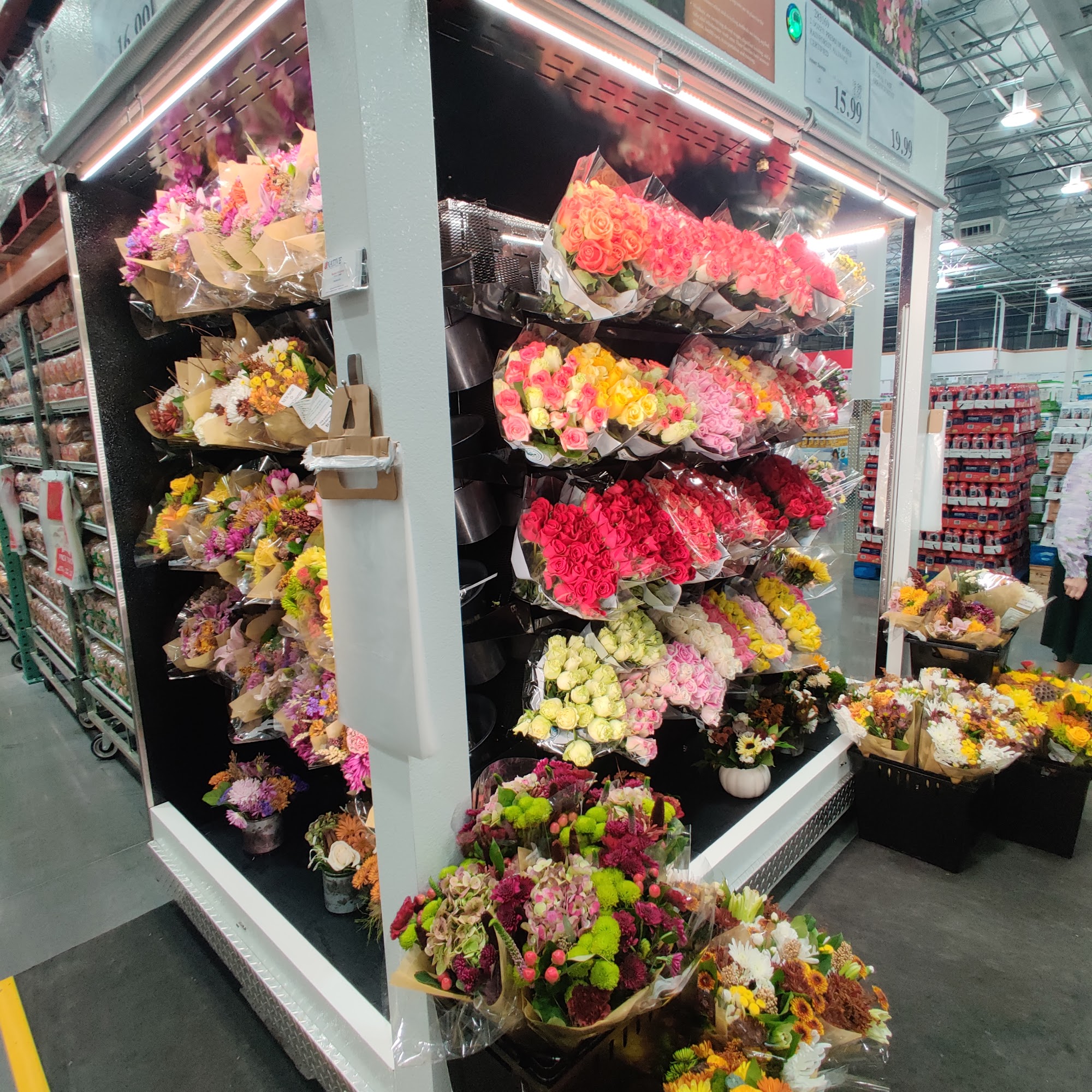 COSTCO WHOLESALE - 279 N Eastgate Ave, Springfield MO - Hours ...