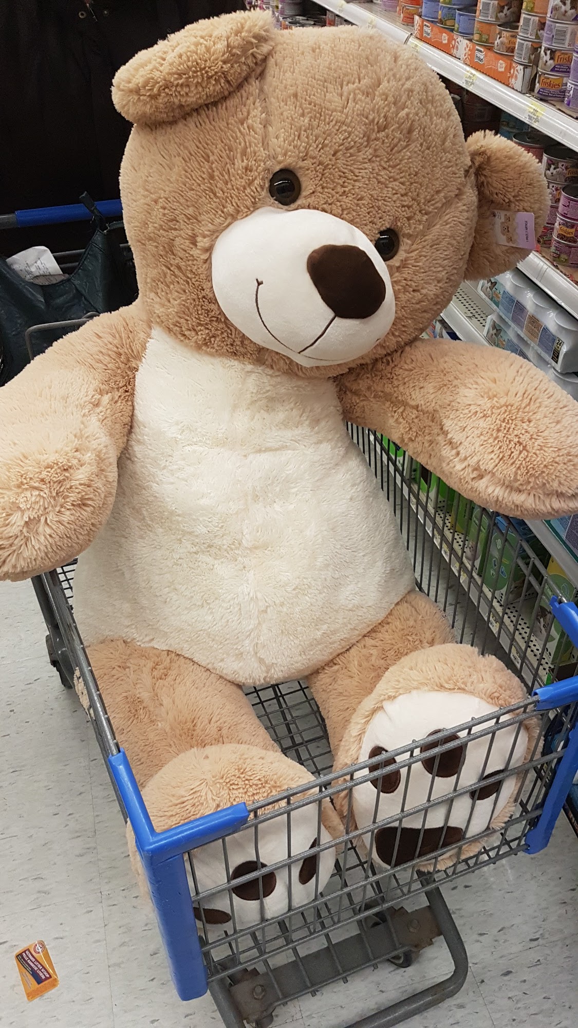 WALMART SUPERCENTRE - 25 Plaza Blvd, Moncton NB - Hours, Directions ...