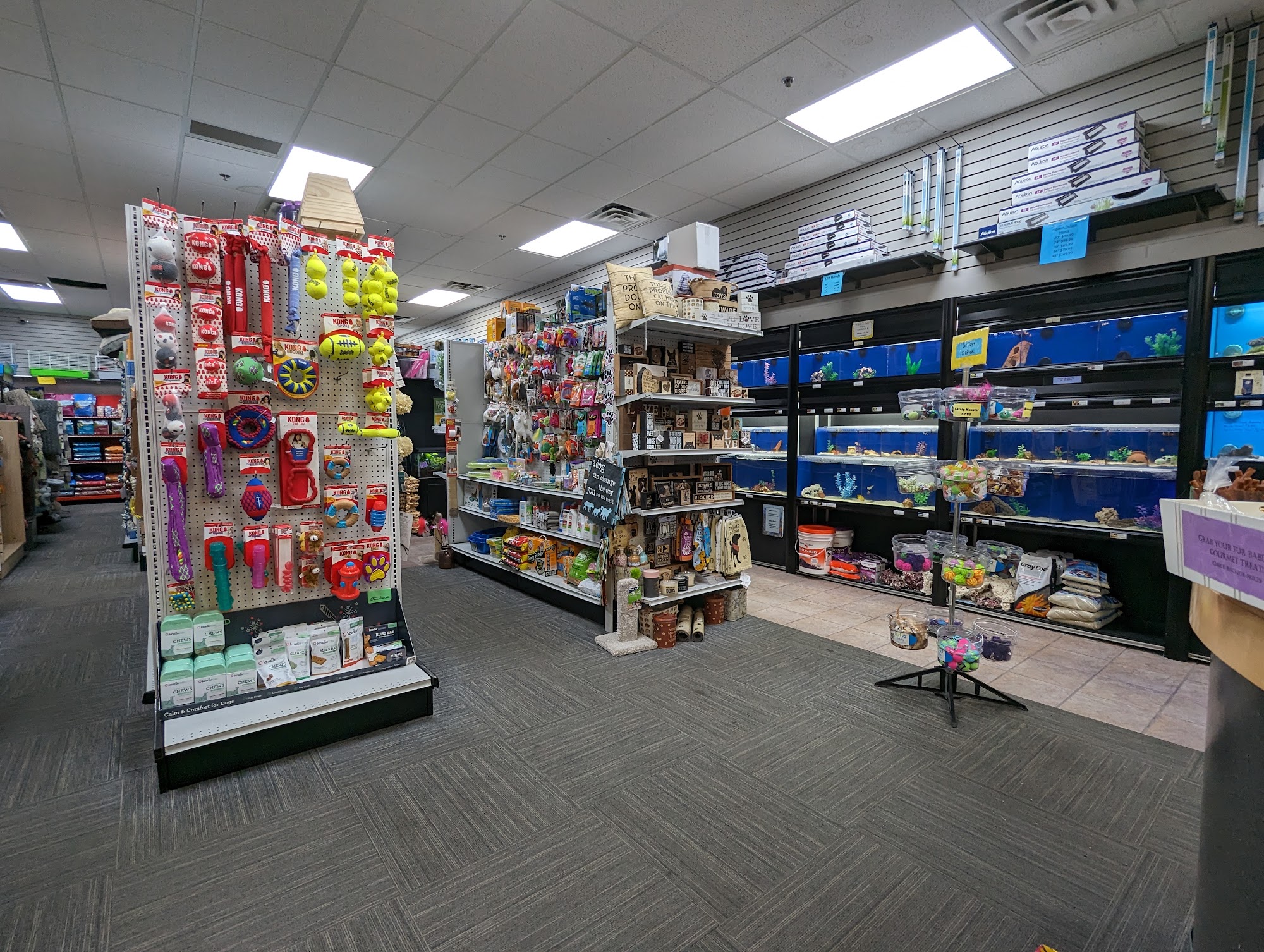 PETS R' INN - Grand Forks ND - Hours, Directions, Reviews - Loc8NearMe