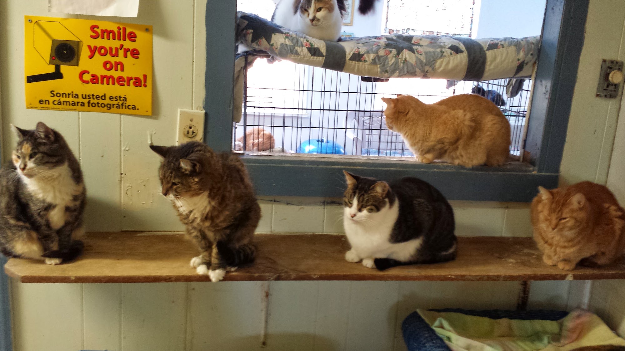 BLUE CHIP FARM ANIMAL REFUGE - Dallas PA - Hours, Directions, Reviews ...