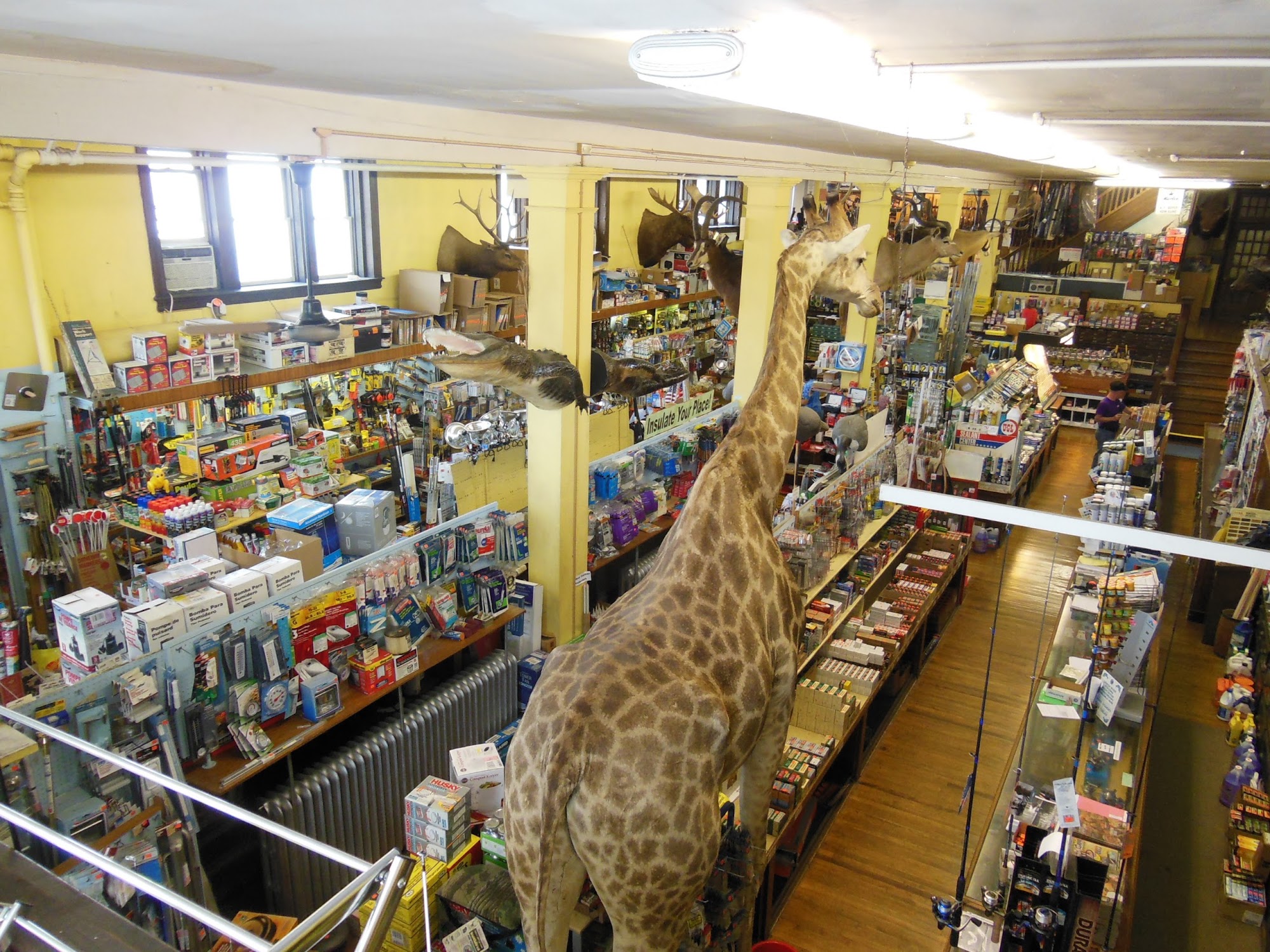 A F BOYER HARDWARE & GUNS - Slatington PA - Hours, Directions, Reviews ...