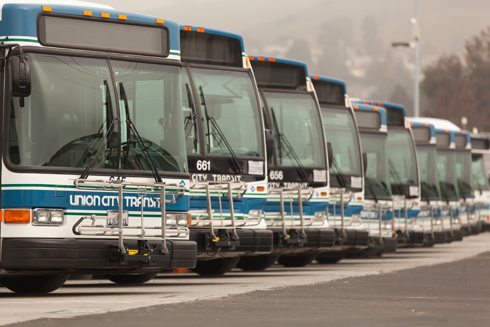 MV TRANSPORTATION, INC - Dallas TX - Hours, Directions, Reviews ...