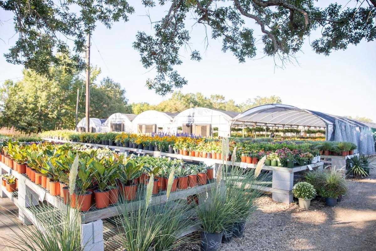 HUGHES PLANT FARM - Tyler TX - Hours, Directions, Reviews - Loc8NearMe