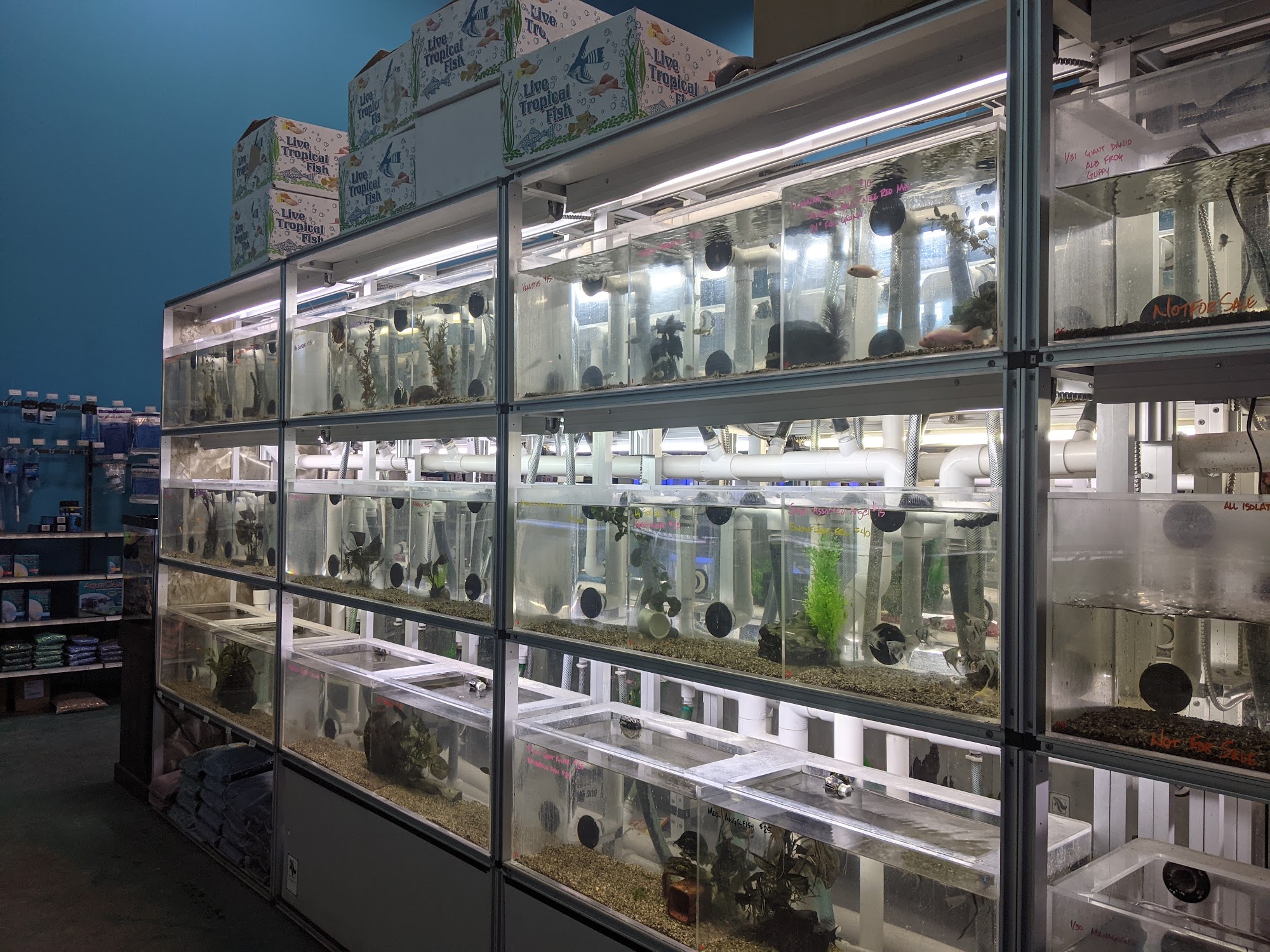 ANIMART PET STORE - Madison WI - Hours, Directions, Reviews - Loc8NearMe